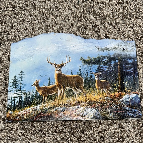 The Unbranded Brand | Wall Decor | Slate Painted Deer Wall Art | Poshmark
